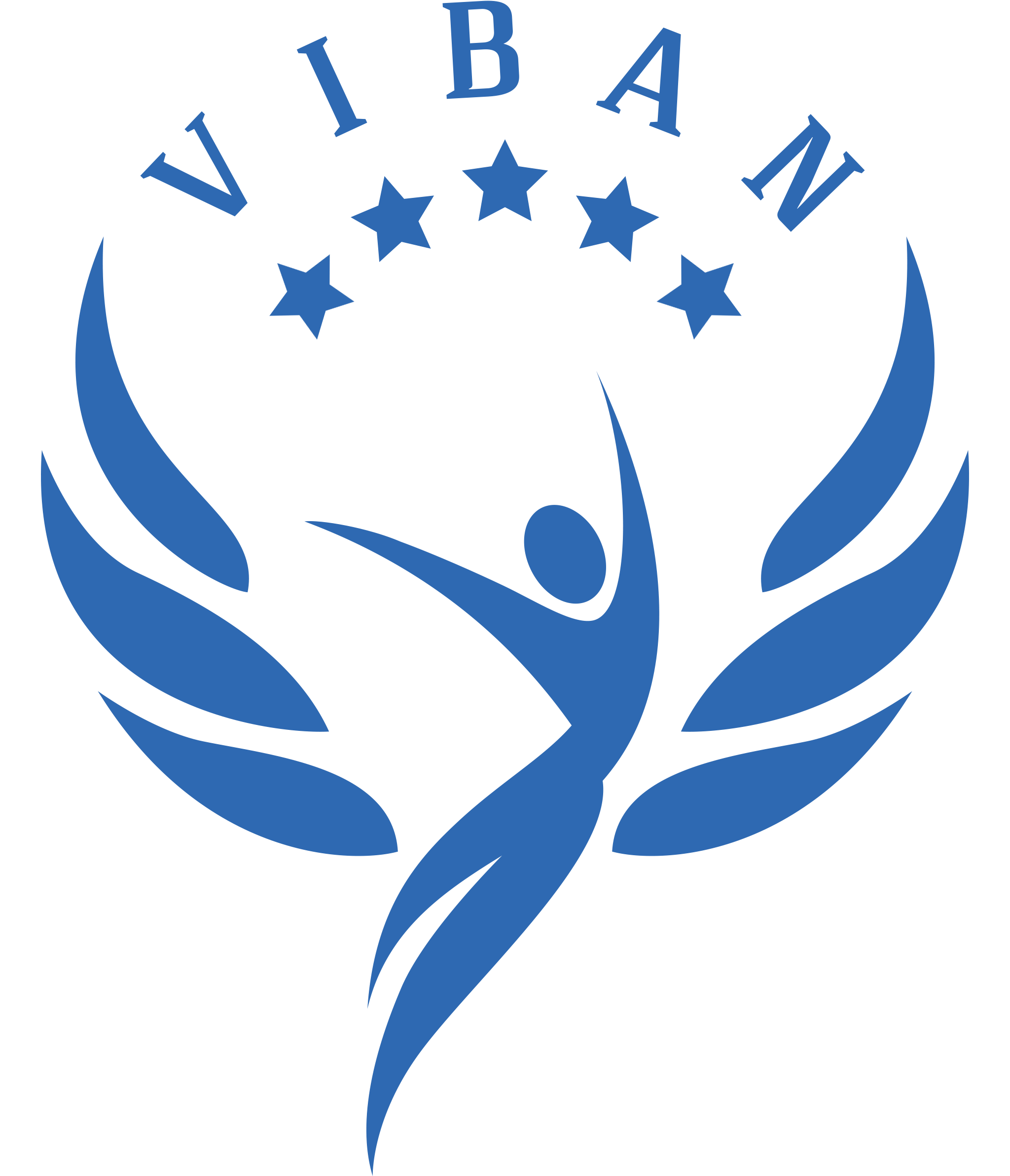 Giới thiệu về công ty TNHH Viban